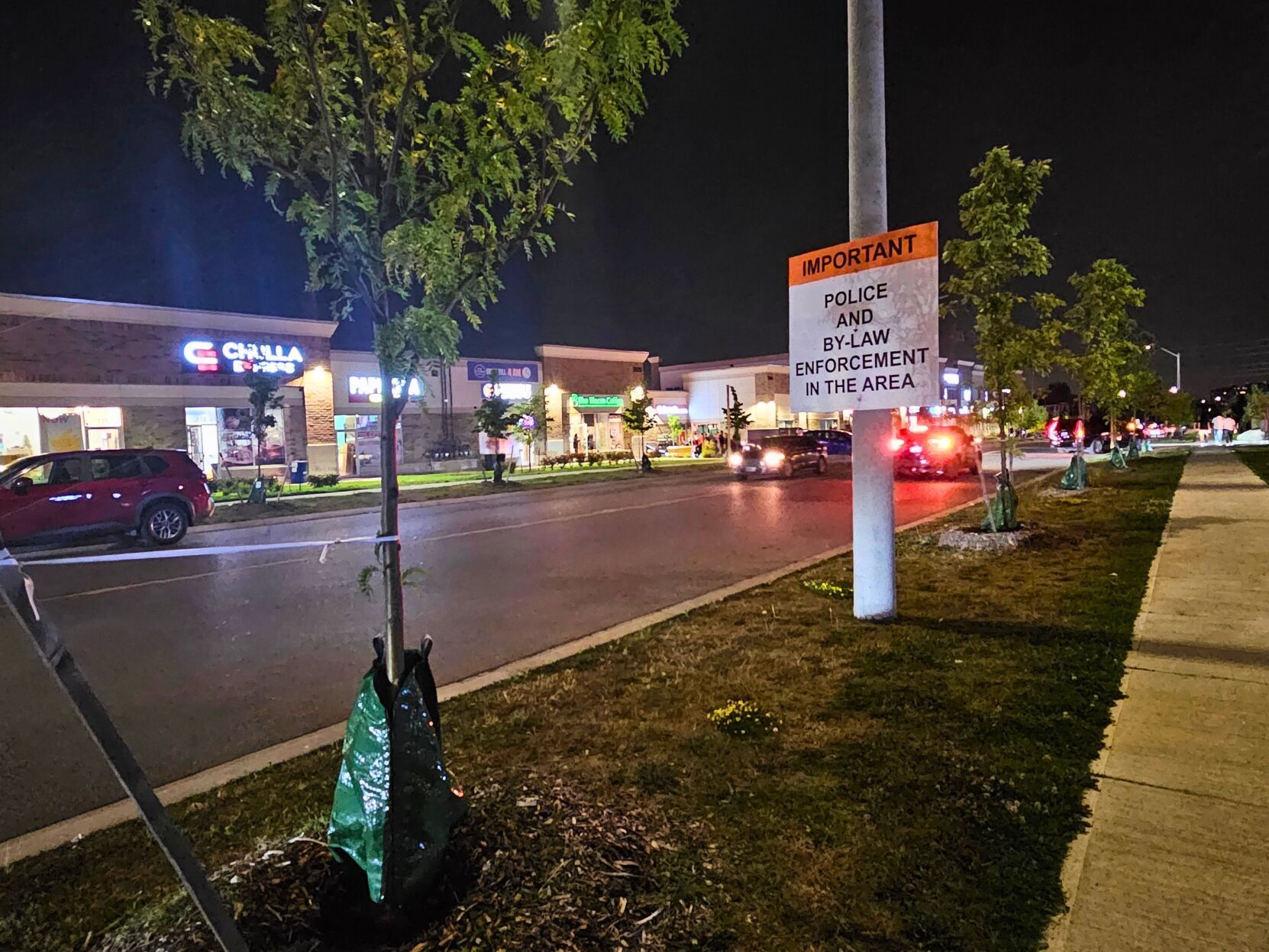 Ridgeway Plaza management outlines security plan