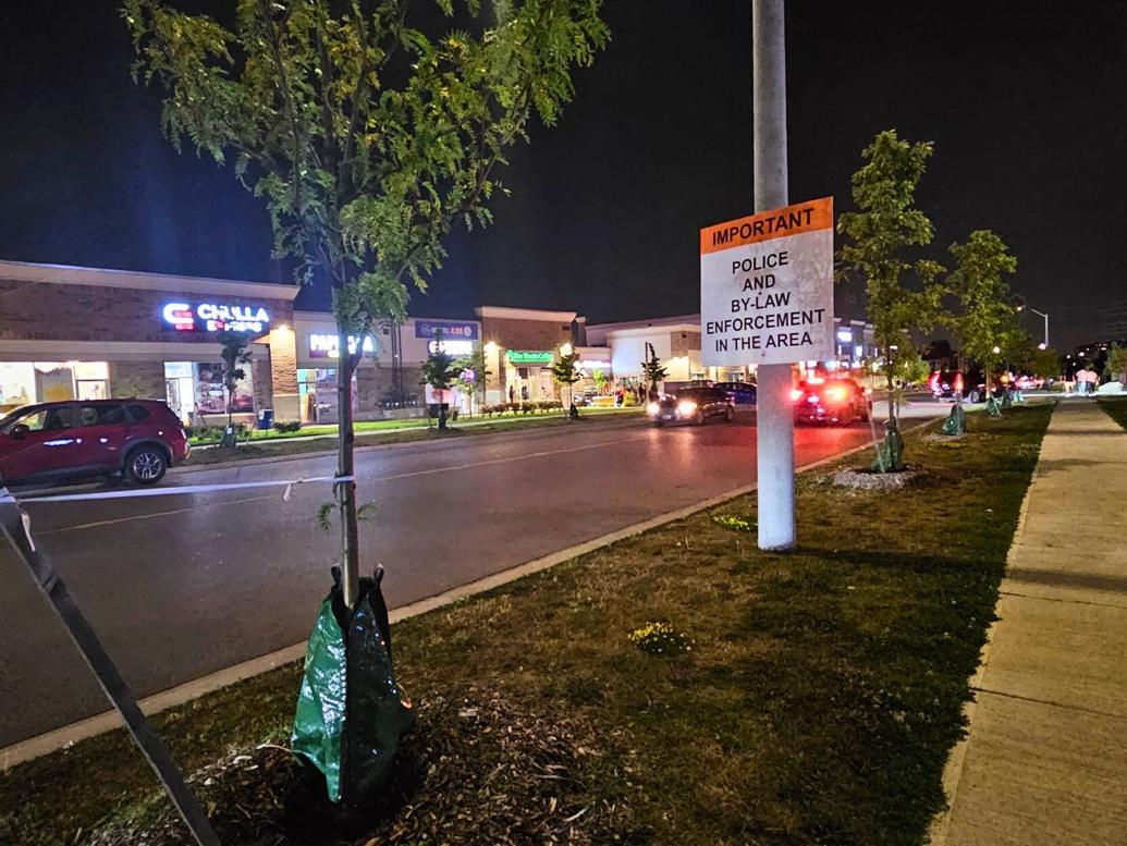 Ridgeway Plaza management outlines security plan