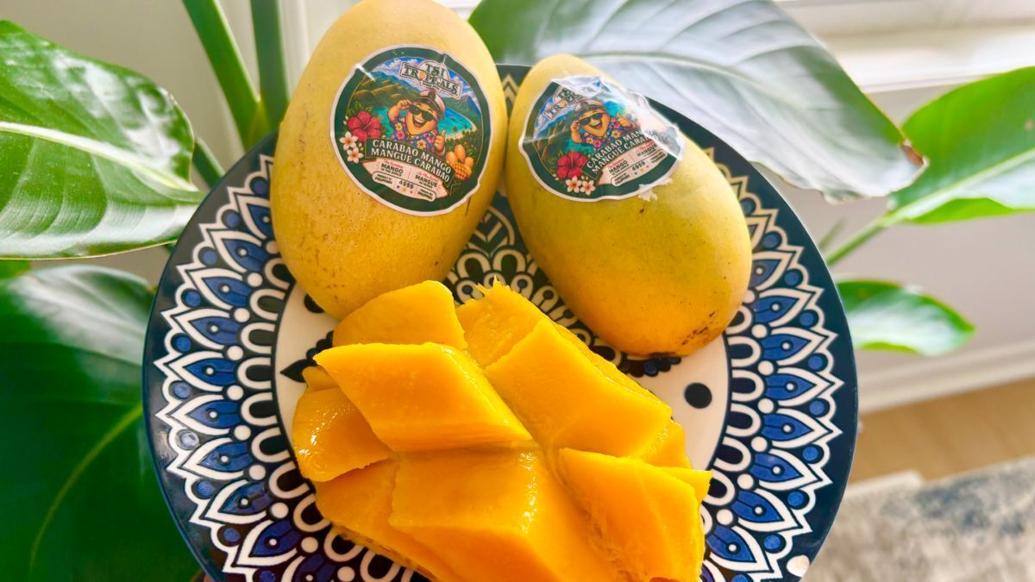 I tried the world’s sweetest mangoes now in Canada