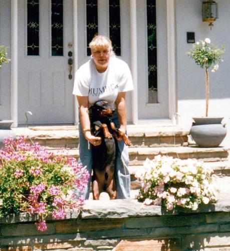 Accused killer admits to fatal attack