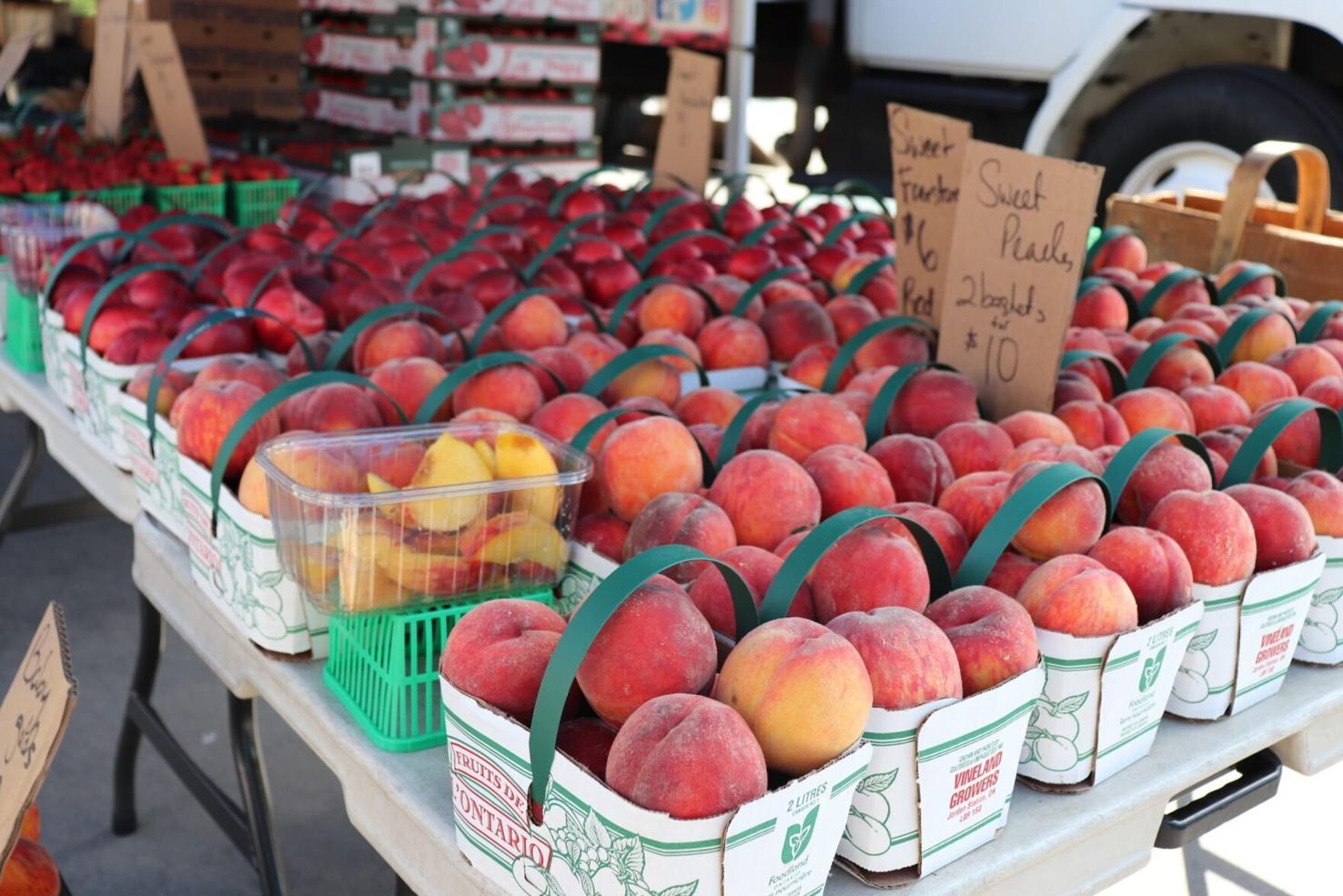 Visit a Mississauga farmers market near you