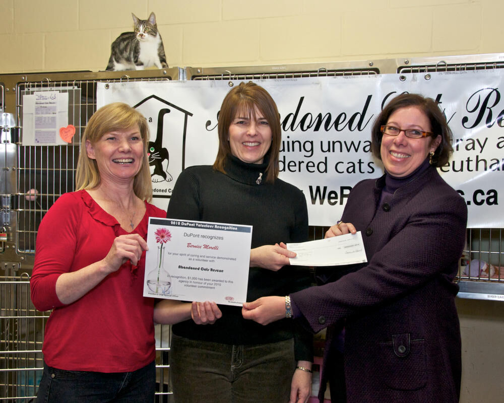 DuPont employee helps abandoned cats