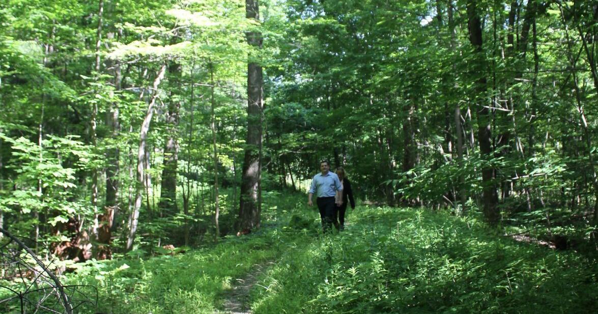 Rewinding the lane to honour Roy Ivor’s famous bird sanctuary