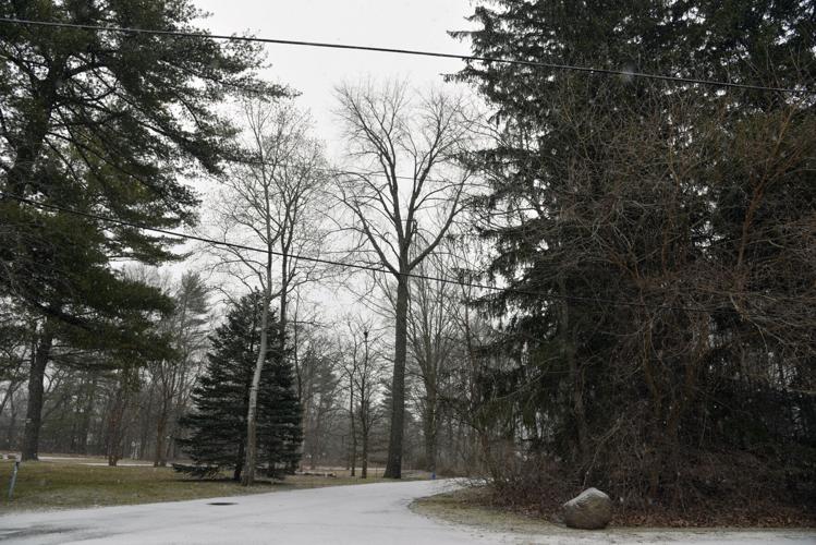 Mississauga councillors reject luxury home development
