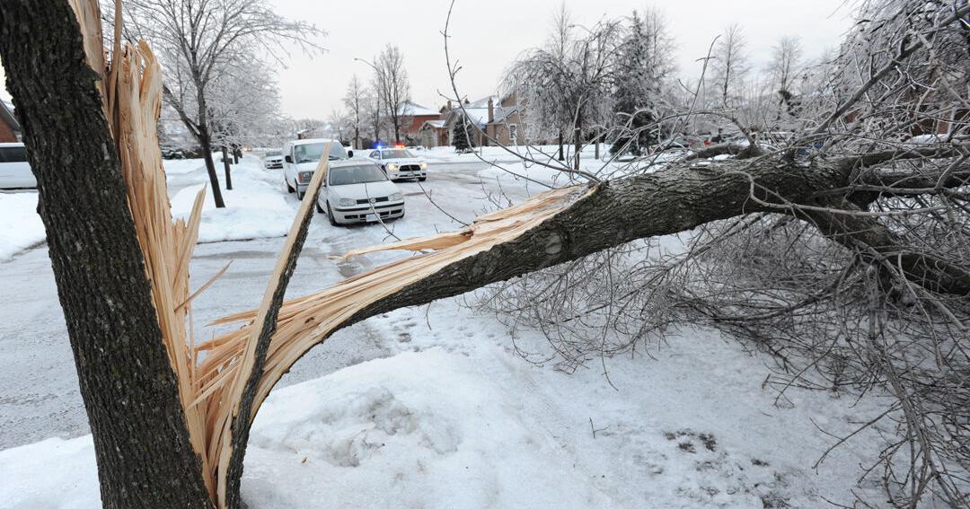 Ice storm: Tree removal is the focus of cleanup efforts