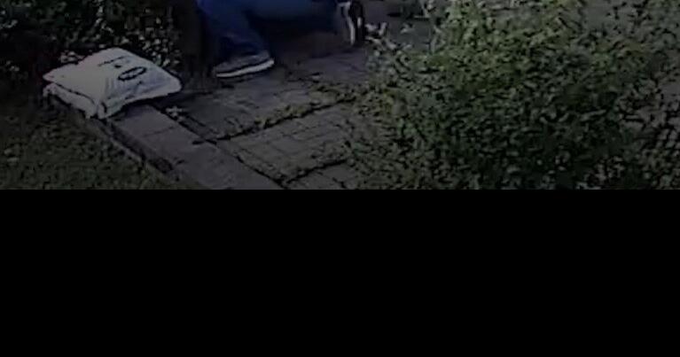 CAUGHT ON CAMERA: 2 suspects wanted following break-in in Mississauga