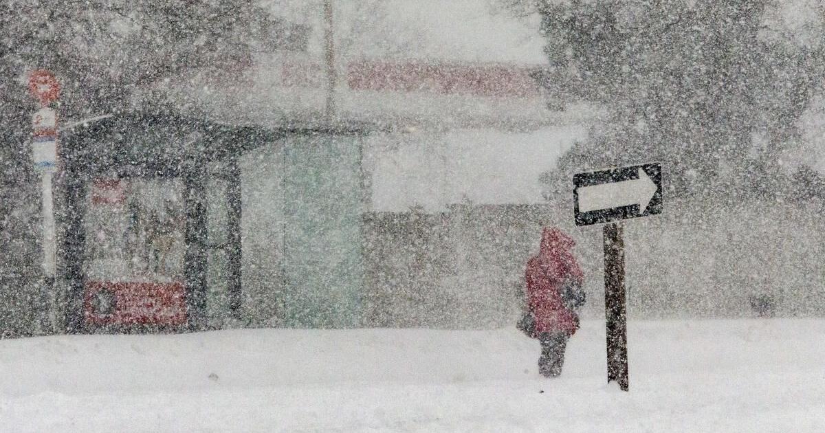 Mississauga offers tips to deal with weekend blast of snow