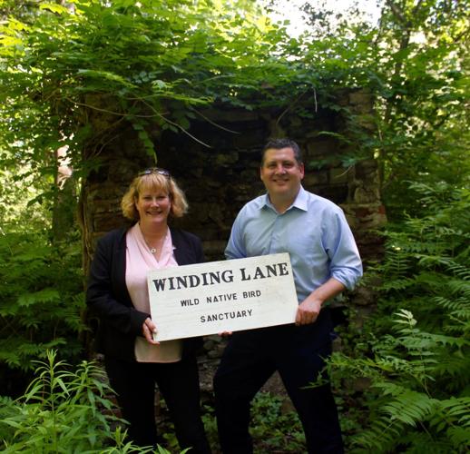Rewinding the lane to honour Roy Ivor’s famous bird sanctuary