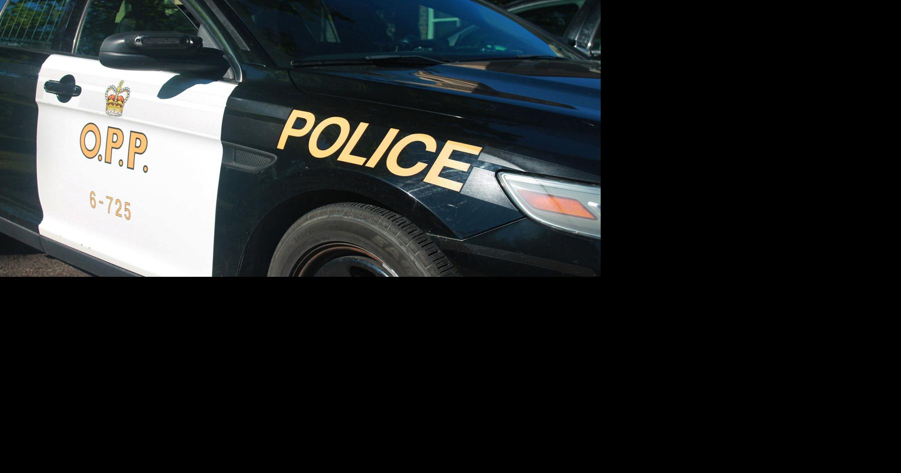 Mississauga OPP respond to alleged threat on QEW