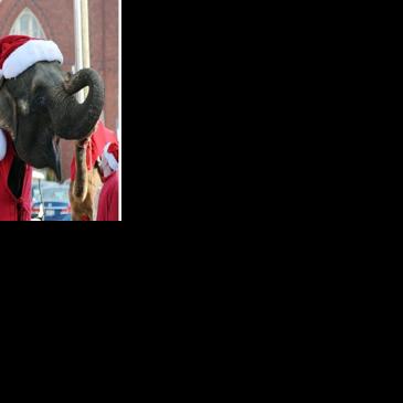 Limba the elephant euthanized at Bowmanville Zoo