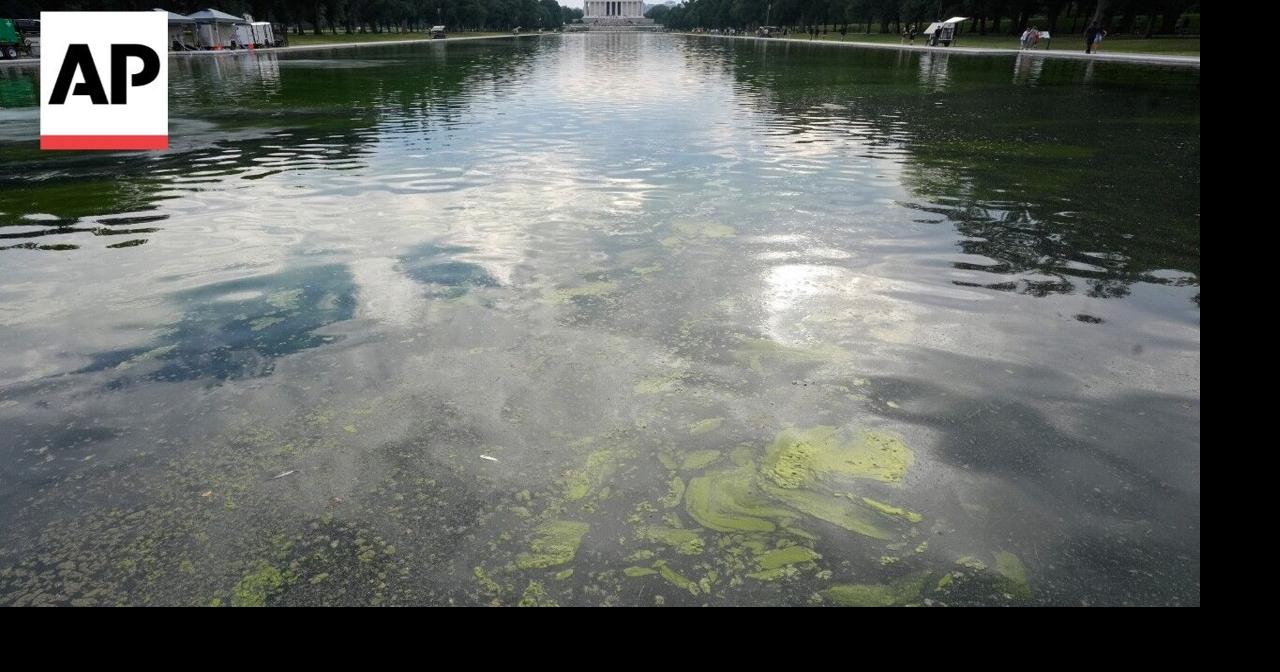 Reflecting Pool turns green again days after Trump's renovation ...