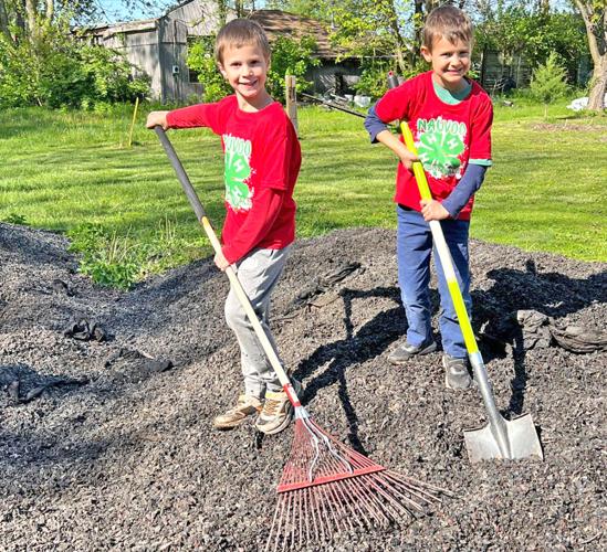 Project Pals 4-H members complete Niota Park cleanup | Hancock County ...