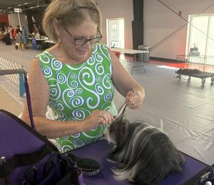 Top dogs coming to West Burlington show | Daily Gate City - Keokuk ...