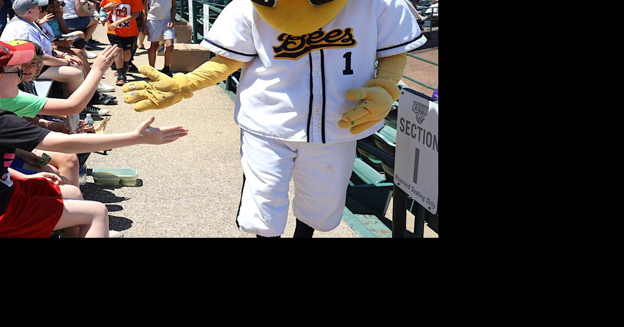Students were Busy Bees at the Ballpark | The Hawk Eye - Burlington ...