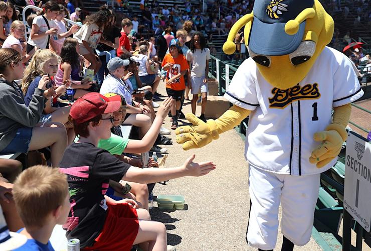 Students were Busy Bees at the Ballpark | The Hawk Eye - Burlington ...