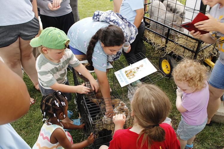 Library park overcome with animals | Daily Gate City - Keokuk, Iowa ...