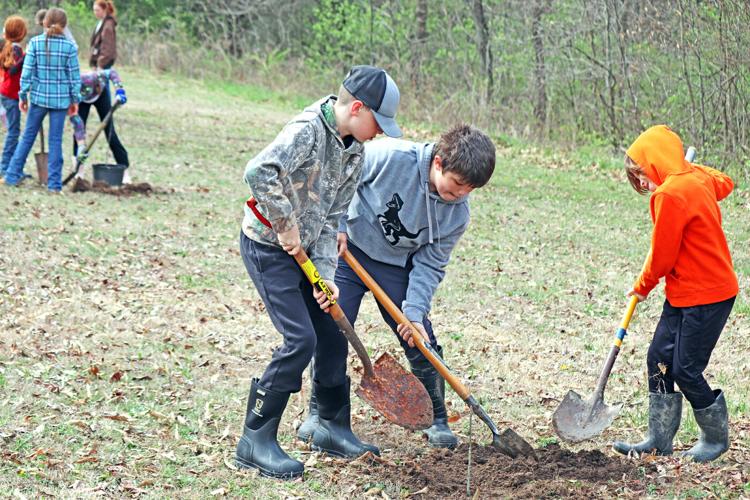 Youth plant 50 oak trees through Illinois 4-H conservation partnership ...