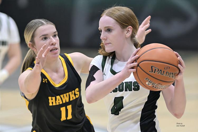 Girls basketball: Sandoval's big fourth quarter sparks Central Lee past ...