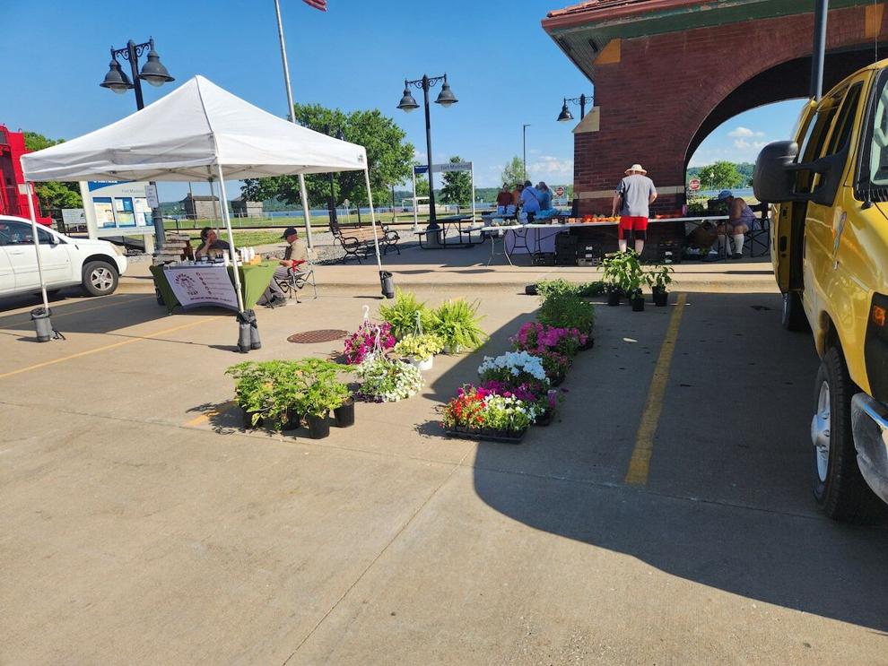 Fort Madison Farmers Market announces Kidpreneur market dates | Daily ...
