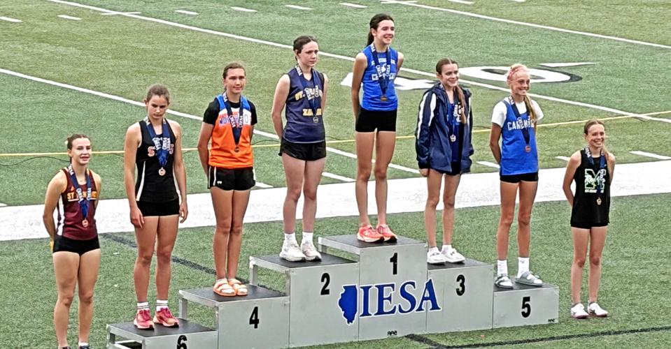 Blue state champion in the long jump and 100-meter hurdles and third in ...