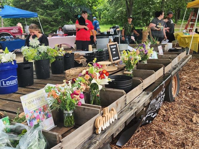 Love Lee County tour highlights hidden gems | Daily Democrat, Fort ...