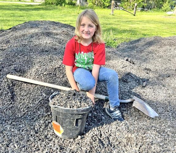 Project Pals 4-H members complete Niota Park cleanup | Hancock County ...
