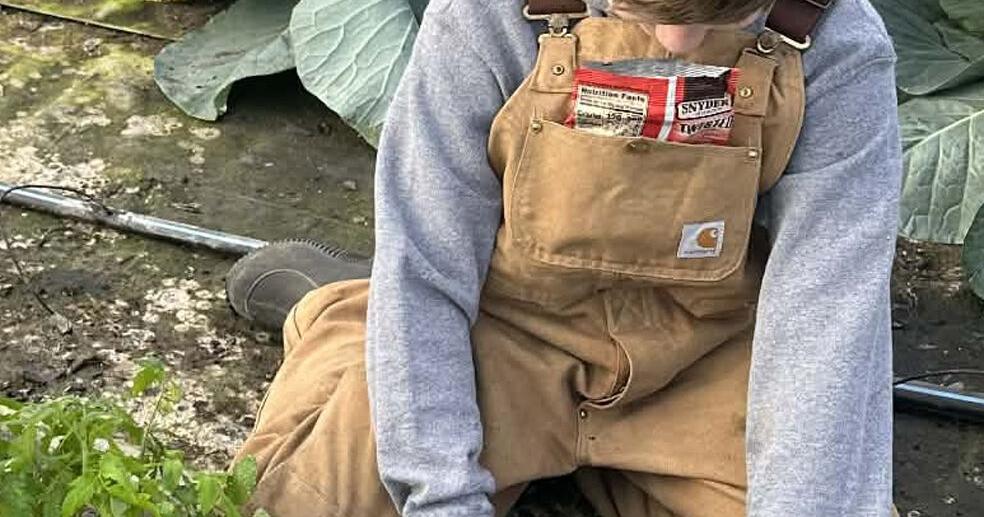 Ag continues to be alive and well in Montrose | Daily Gate City ...