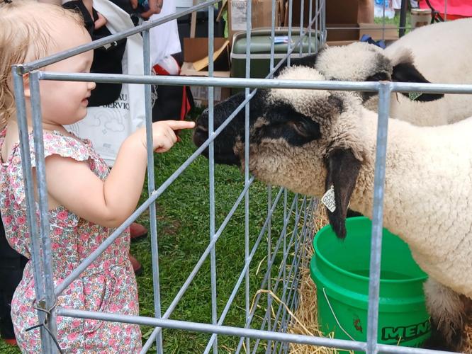 Hundreds turn out for Pride in the Park | The Hawk Eye - Burlington ...