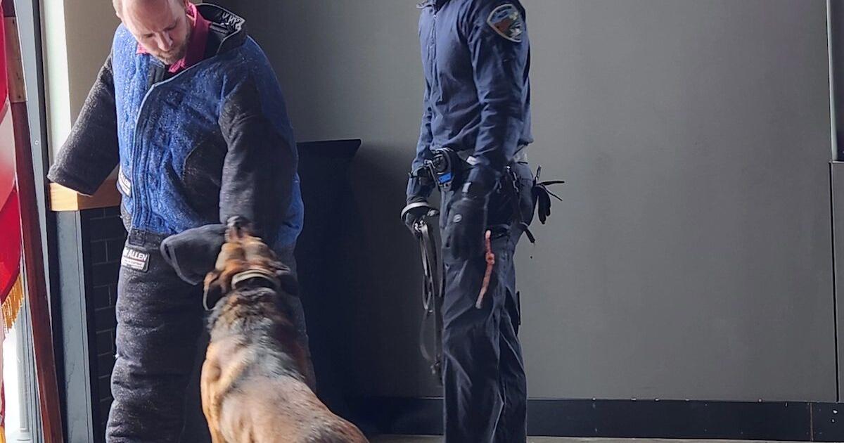 FMPD K9 Pacso demonstrates drug search, bite | Daily Democrat, Fort ...