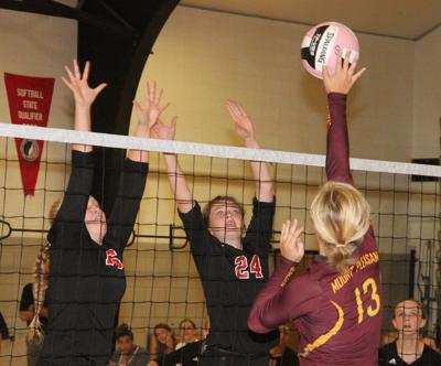 Bloodhounds on a roll, sweep Panthers in volleyball | Daily Democrat ...
