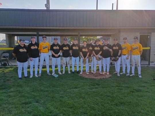Baseball: Hawks remaining to soar in 2026 | Daily Democrat, Fort ...