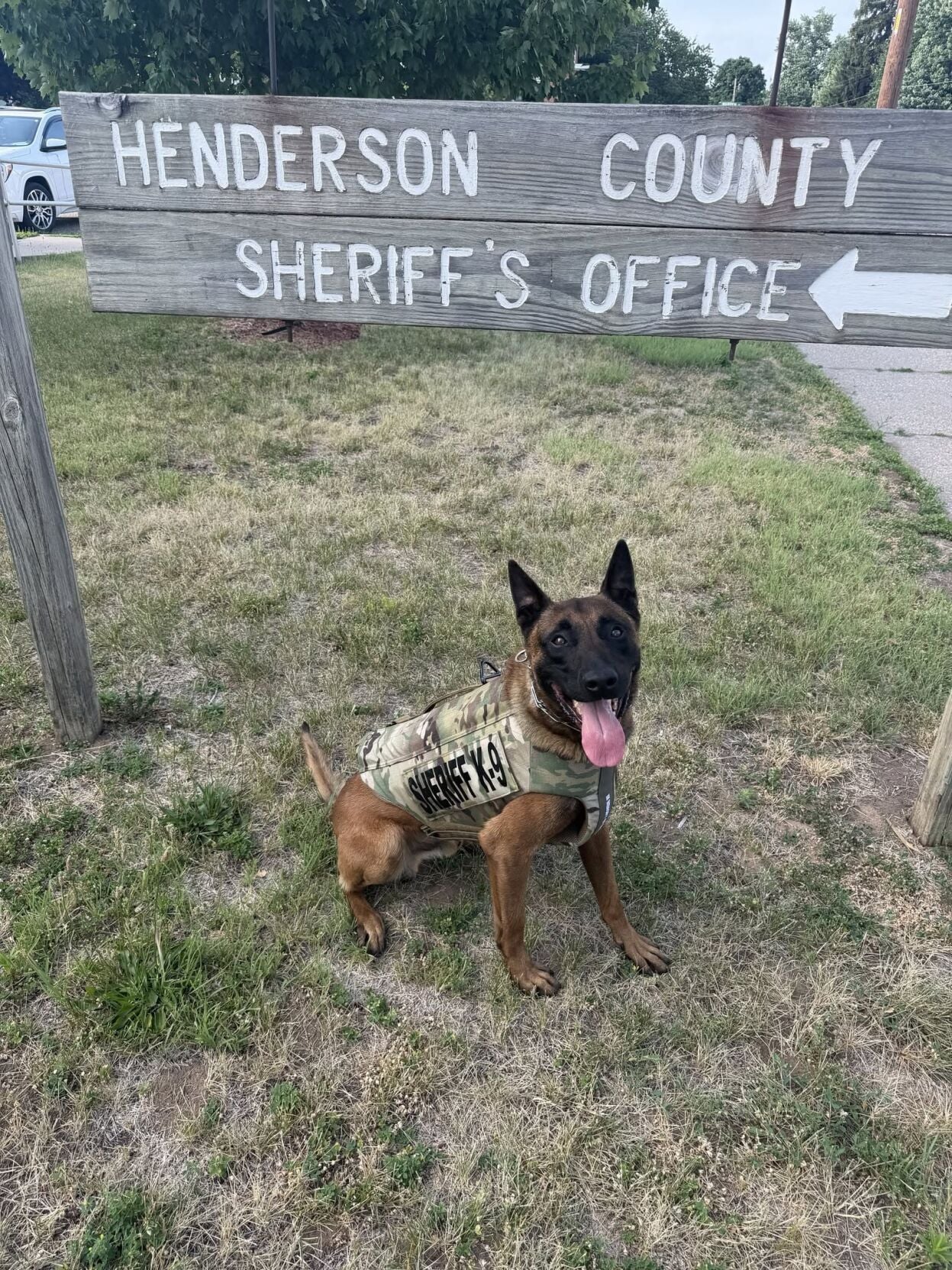 Henderson County K9 receives donation of body armor | The Hawk Eye ...