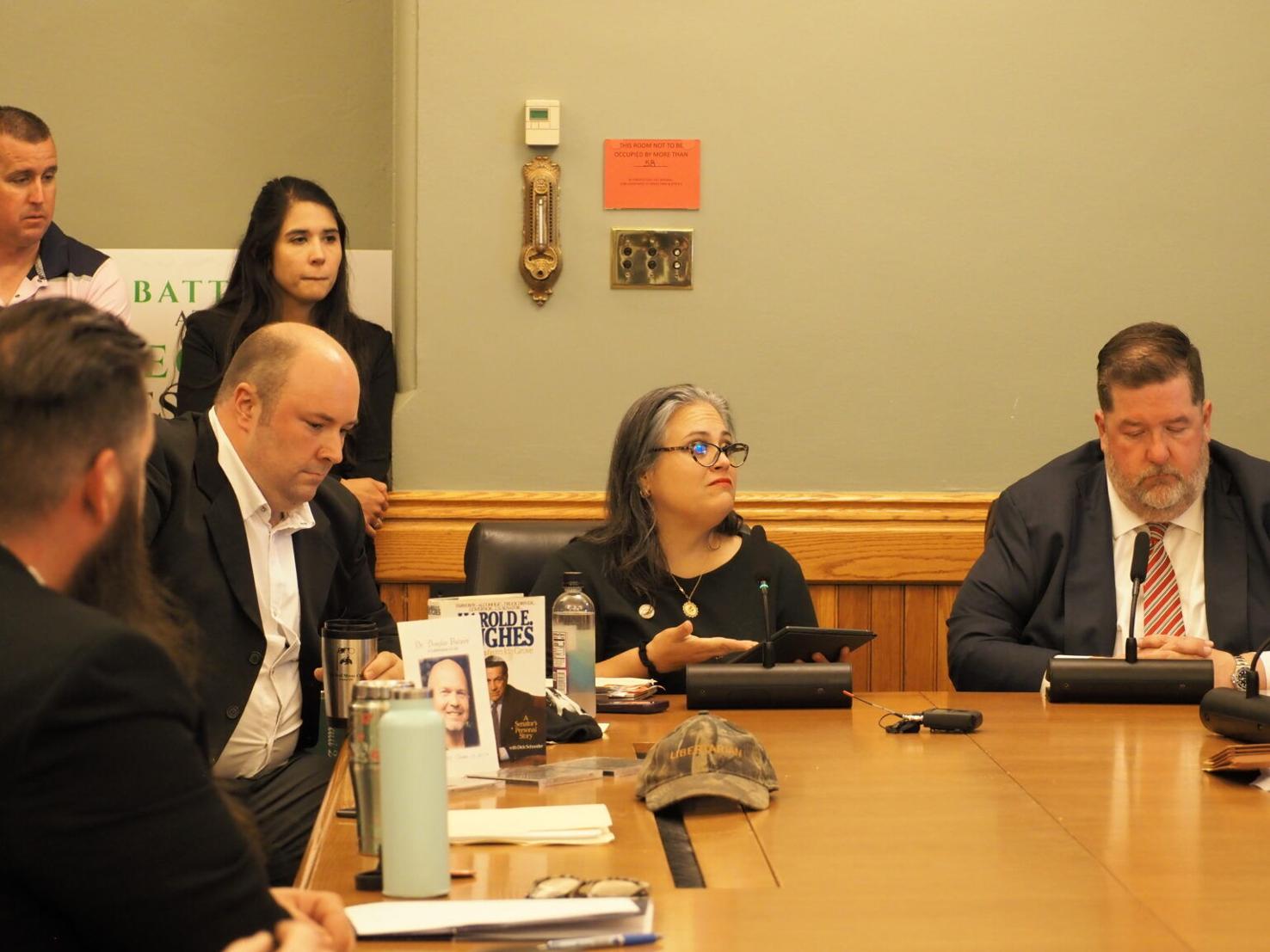 State Objections Panel takes two Libertarian candidates off November ...