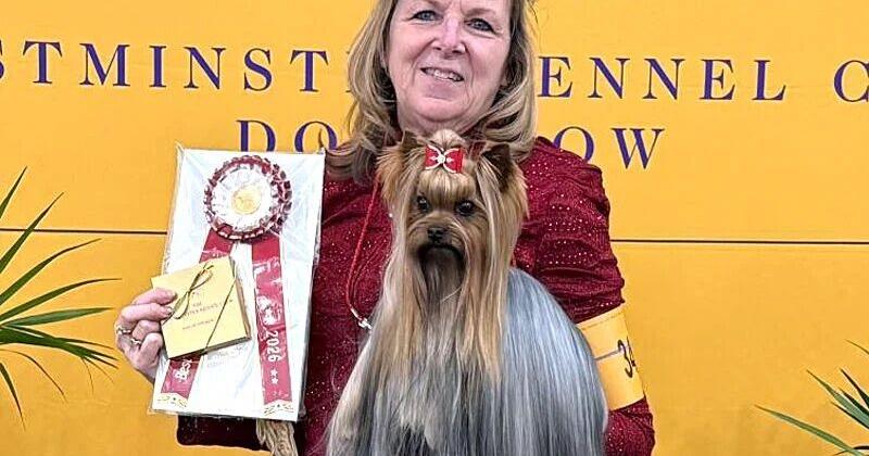 Mt. Pleasant's Michelle Muffin Chaney wins big at Westminster! | The ...