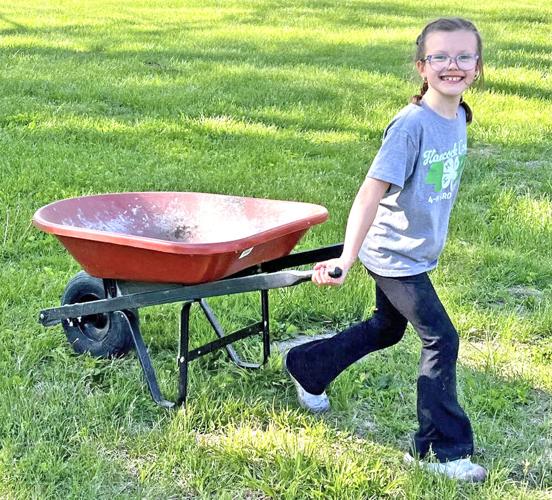 Project Pals 4-H members complete Niota Park cleanup | Hancock County ...