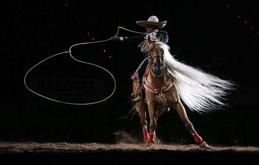 Branquinho, Shepperson take bulldogging buckles | Rodeo | missoulian.com