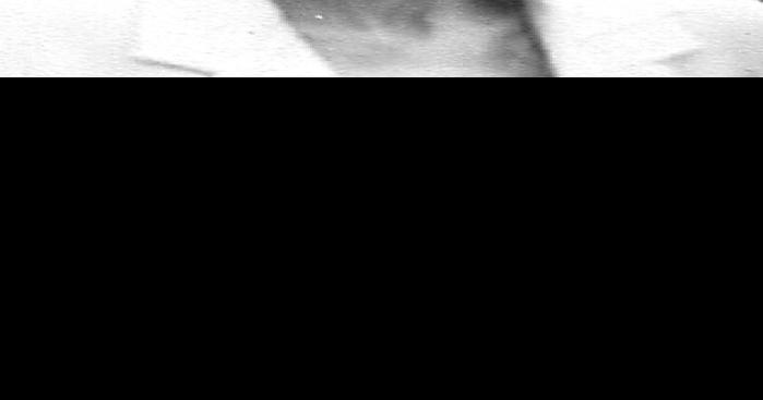 Catherine Gladys Baron Olson