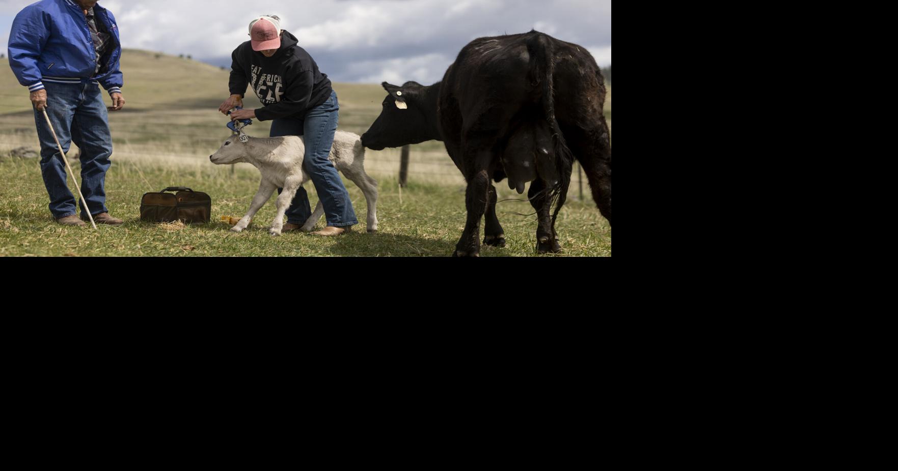 Polson ranching family wins Montana environmental award