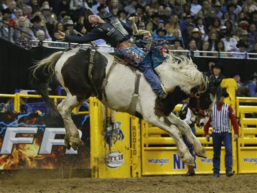 Branquinho, Shepperson take bulldogging buckles | Rodeo | missoulian.com