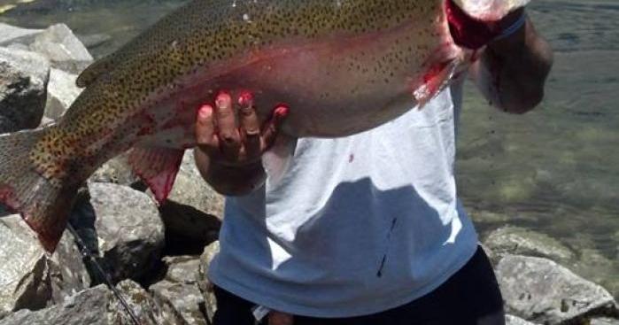 Monster 28-pound trout caught in north Idaho was a rainbow