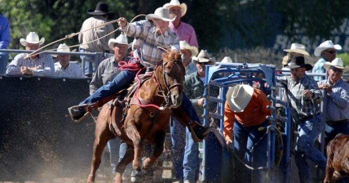 Roping experience: Senior Pro Rodeo draws riders to Ravalli County ...
