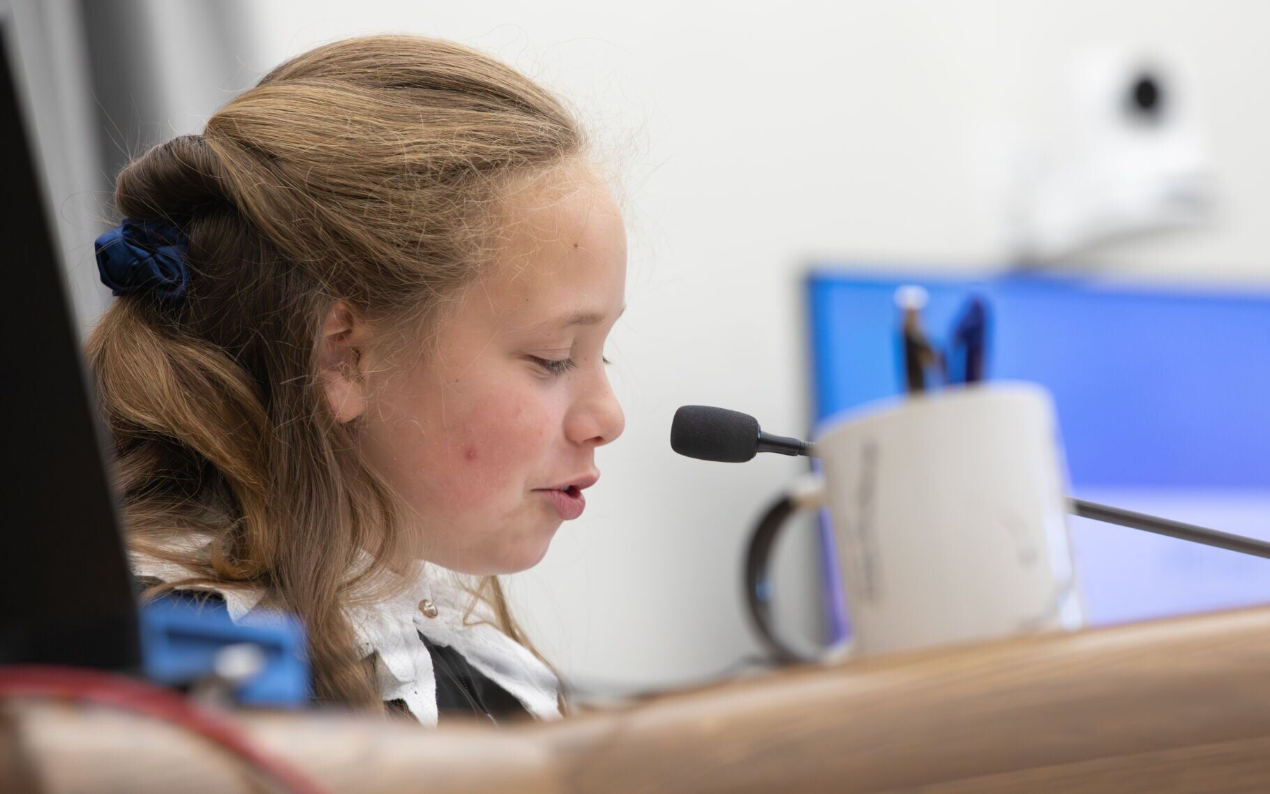 Photos: Helena student mock trial serves justice in 'Gold E. Locks v. 3 ...