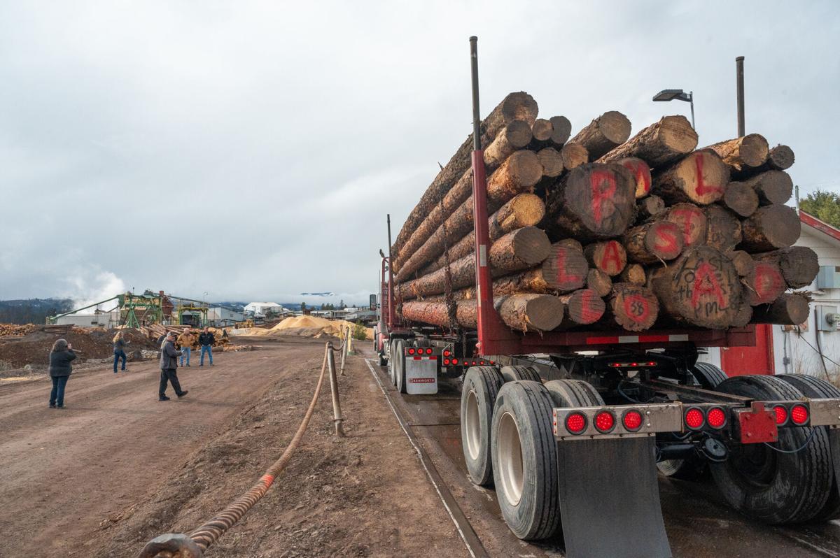 Bill Hodge: Time is of the essence for creative solutions to save ...