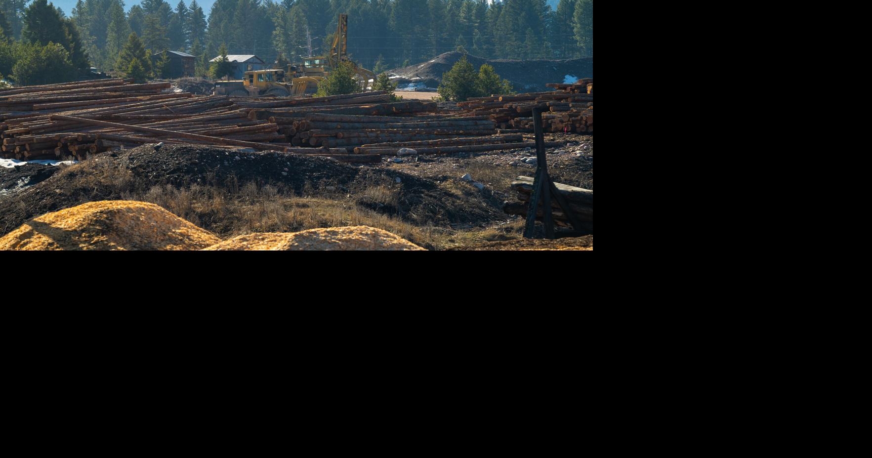 Pyramid mill closure rattles timber economy