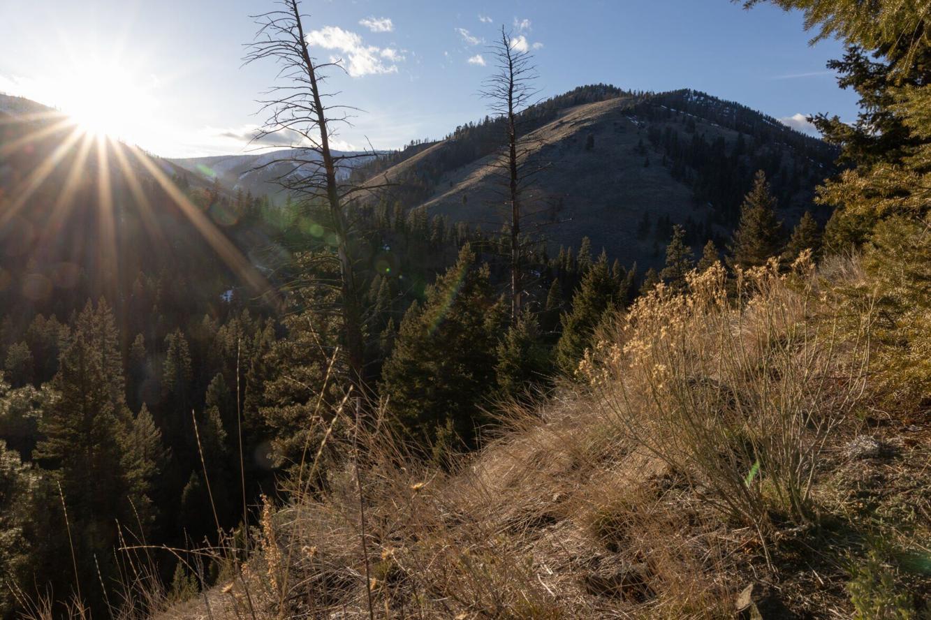 Rare-earth mineral exploration work continues in Sheep Creek