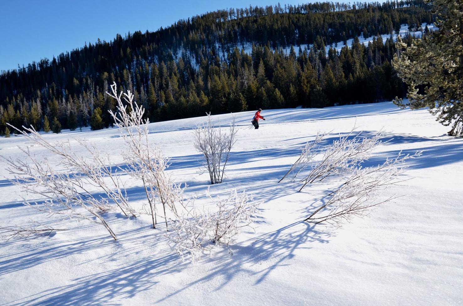 Dust on crust: Spring skiing in Yellowstone