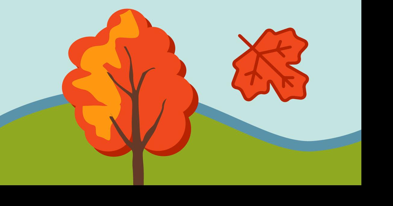 Fall tree color: Where to find fading autumn colors