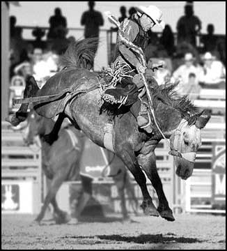 Mapston back in NFR after injury