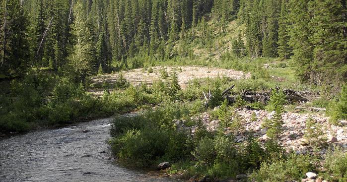 Howie Wolke to discuss the public land roadless area issue