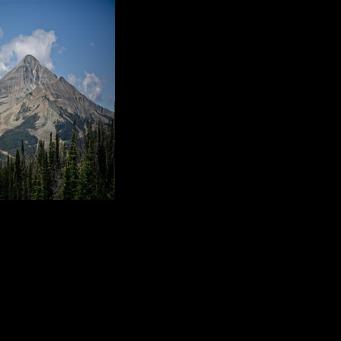 Lift-served mountain biking keeps resorts going in summer